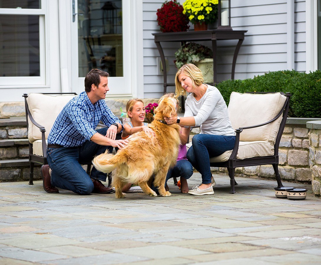 New Jersey Electric Dog Fencing | Pet Stop by Dog Fencing Systems